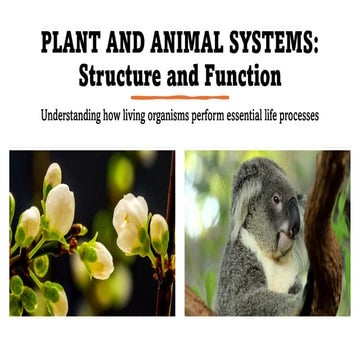 Q1C1L1 Animal and Plant Organ Systems and their Functions (2).pptx
