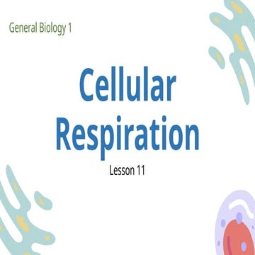 Cellular Respiration PowerPoint | PPT