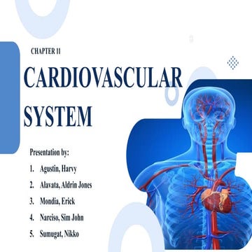 Science 14 Anatomy and Physiology (Cardiovascular System) | PPTX