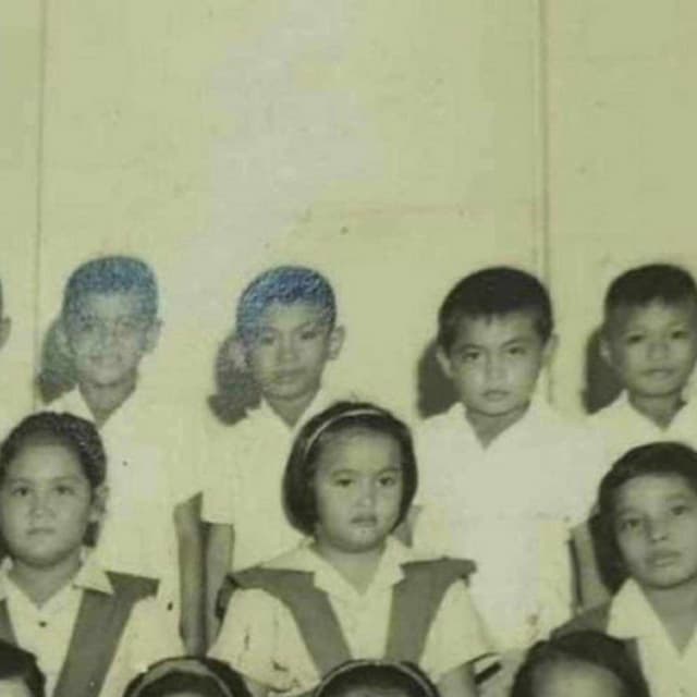 Elementary days | PDF