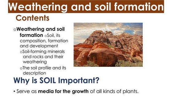 The Process of Soil Formation | PPTX