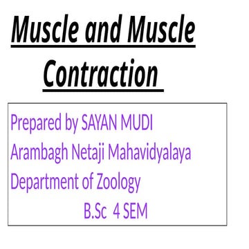 Comprehensive Overview of the Human Digestive System and Its Functions ...