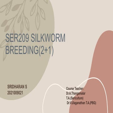 inbreeding methods of the mulberry .pptx | Infertility | Reproductive ...