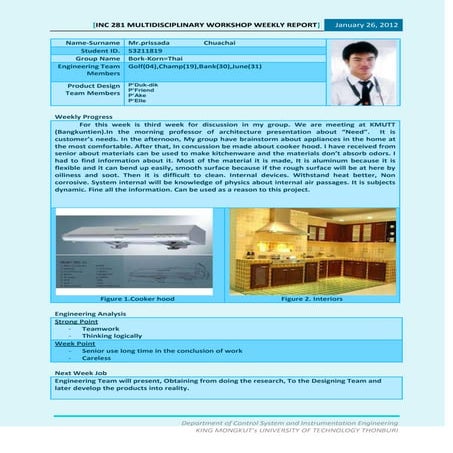 Inc 281 multidisciplinary workshop weekly report3 | PDF