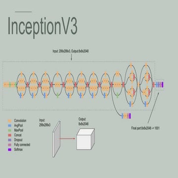 InceptionV3 model deep learning image processing | PPT