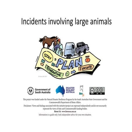 Incidents involving animals awareness level presentation | PDF