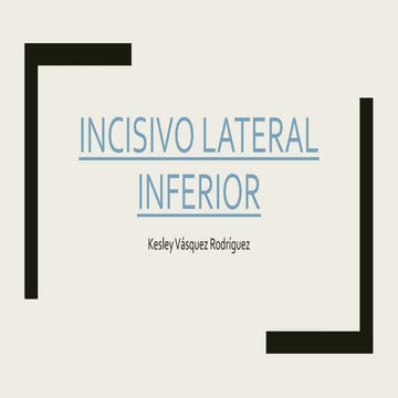 Incisivo lateral inferior | PPTX