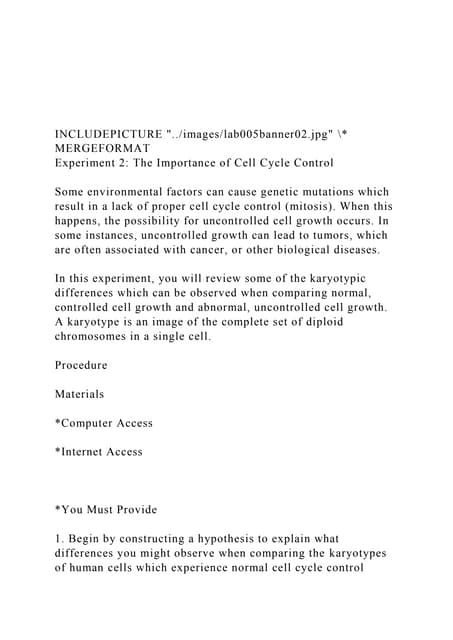Experiment 2 The Importance of Cell Cycle Control Some environm.docx ...
