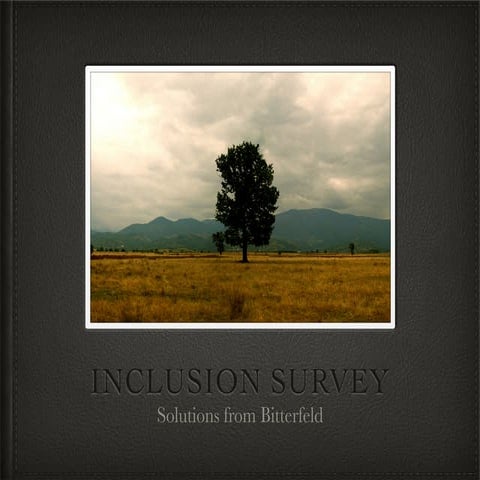 Inclusion survey | PDF | Educational Assessment | Education