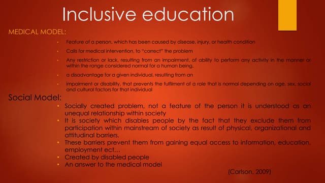 Internalising and Externalizing Behaviours | PPTX