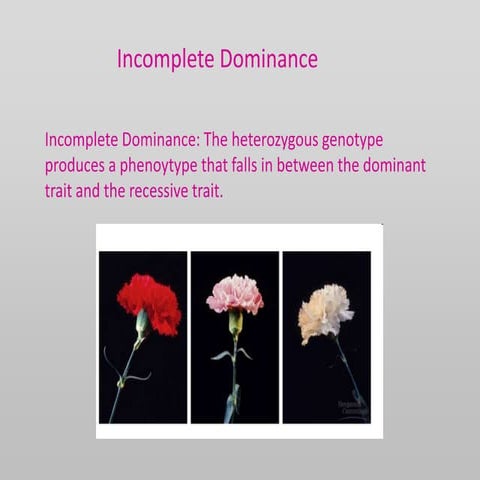 Incomplete and co dominance ppt | PPTX