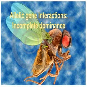 Incomplete dominance | PPTX