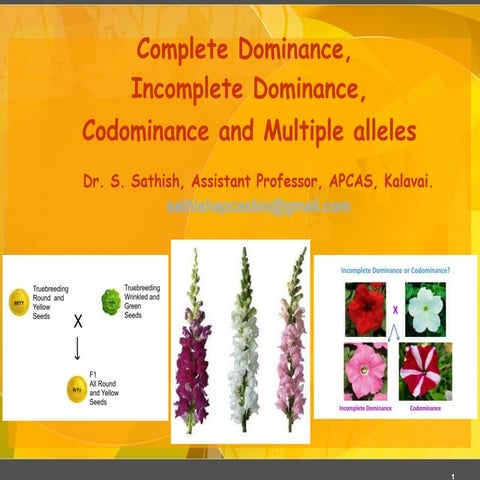 Incomplete Dominance and Codominance.pptx