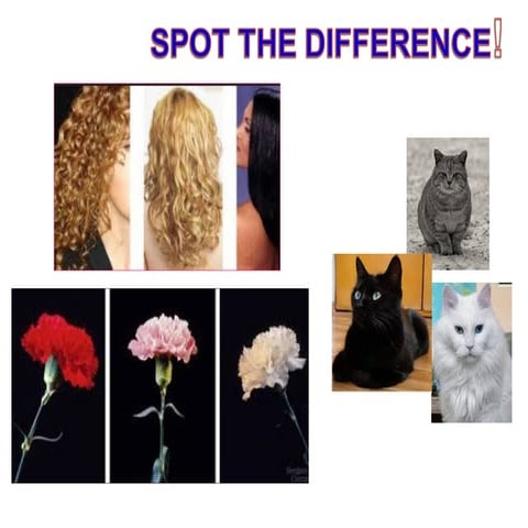 Incomplete Dominance | PPT | Genetics | Science