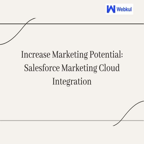 Maximize Your Marketing Potential With Salesforce Marketing Cloud