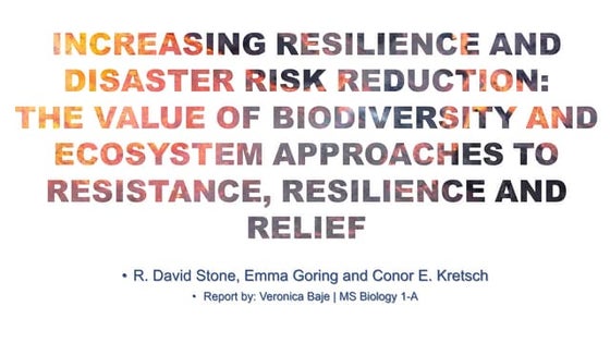 The Visual Arts | PPTX