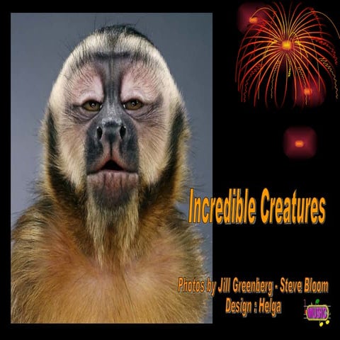 Incredible Creatures | PPT