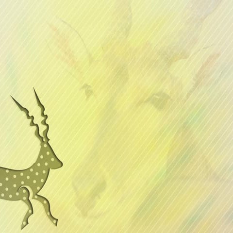 Oryx antelope | PDF
