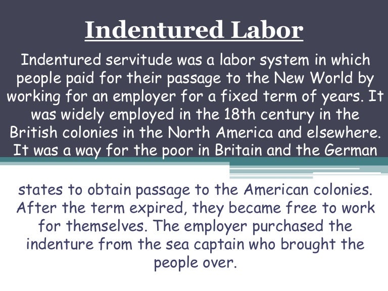 Indentured labor PPT by zainul2002