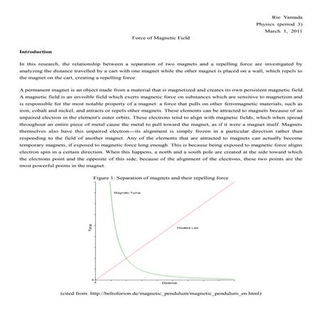 CSEC Physics Lab - Magnetic Force | DOCX
