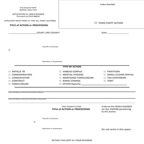 Index number application form final fill-in | PDF