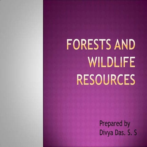 forest and wildlife 10 ppt | PPTX