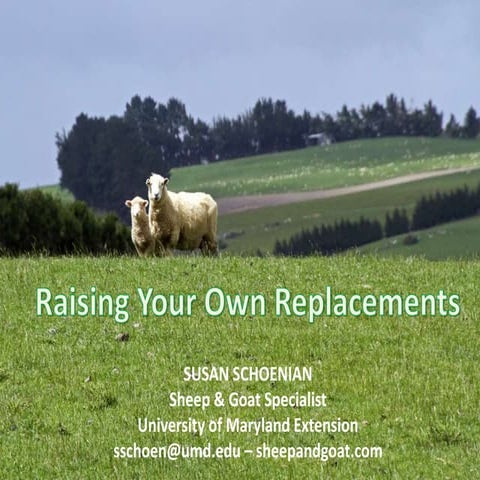 Raising your own replacements | PPT