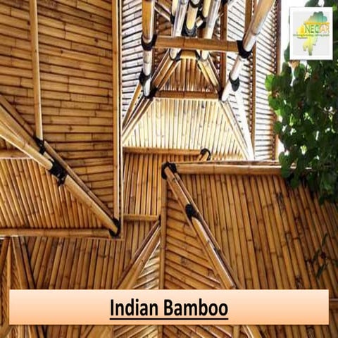 Indian bamboo | PPTX