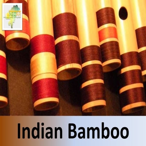Indian bamboo - www.nectar.org.in