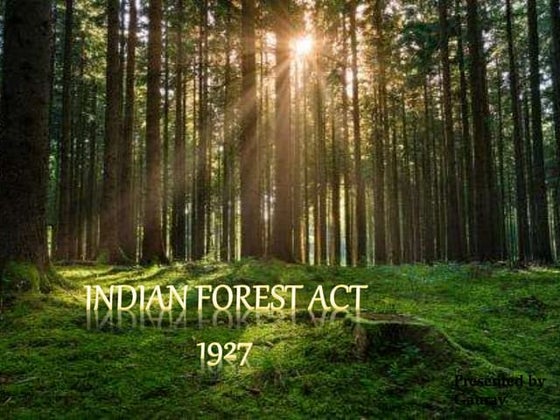 Joint forest management | PPT