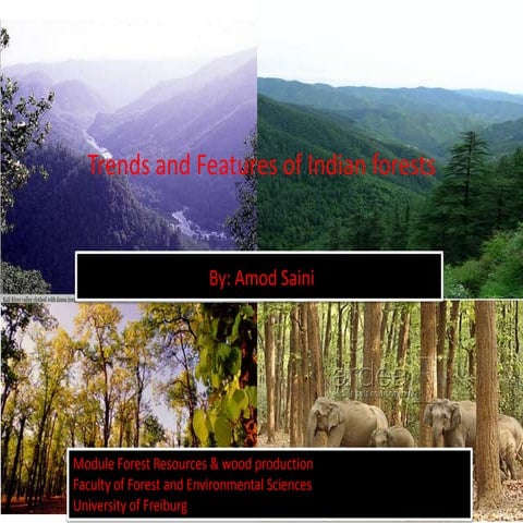 Indian forests amod saini | PPTX