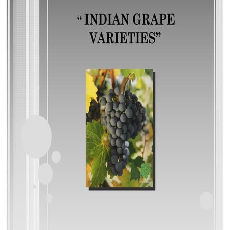 Indian Grape Varieties | PPT