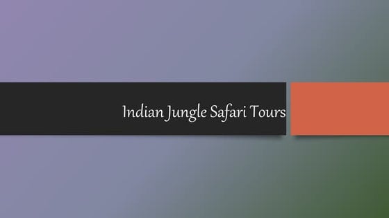 Kanha Jungle Safari Packages | PPT