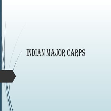 Indian major carps N.pptx.................... | PPTX