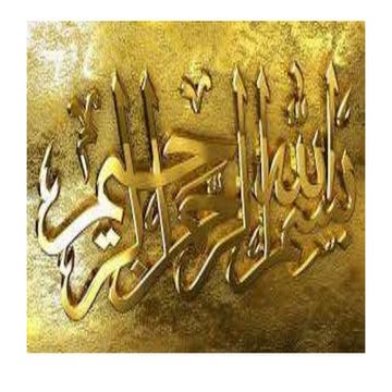 Indian meal moth | PPT