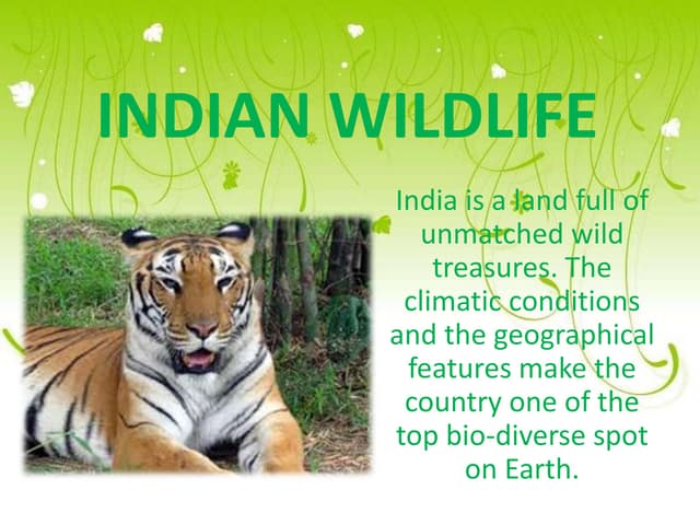 Wildlife in india | PPTX