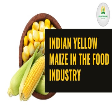 Indian Yellow Maize In The Food Industry (1).pdf