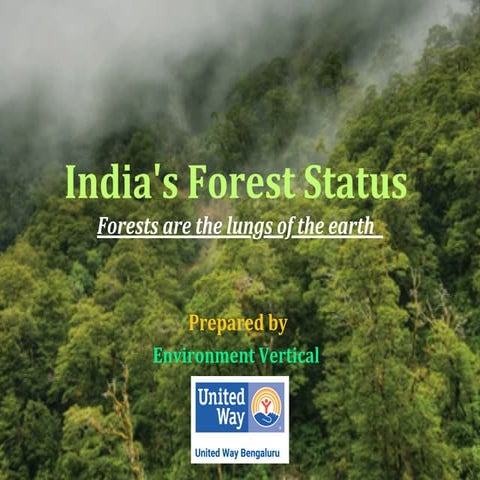 Detailed analysis of India's forest cover by state | PDF
