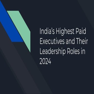 India’s Highest Paid Executives and Their Leadership Roles in 2024 | PDF
