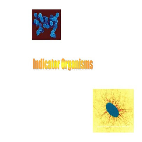Indicator organisms.pdf