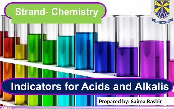 Indicators Class X | PPTX | Chemistry | Science