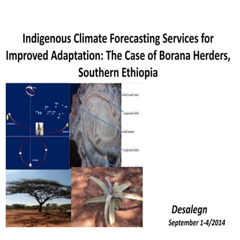 Indigenous climate forecasting services for improved adaptation the ...