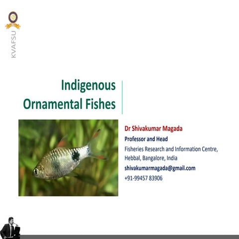 Indigenous ornamental fishes | PDF