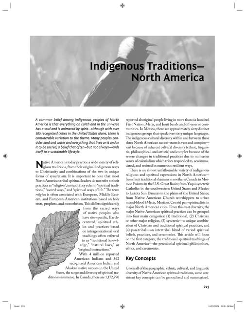 Navi Clans: Exploring the Rich Tapestry of Na’vi Culture | PDF