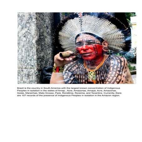 indigenous tribes Brazil | PDF
