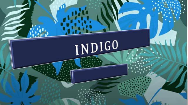 INDIGO Class 12 ENGLISH, Dav Chandrasekharpur | PPTX