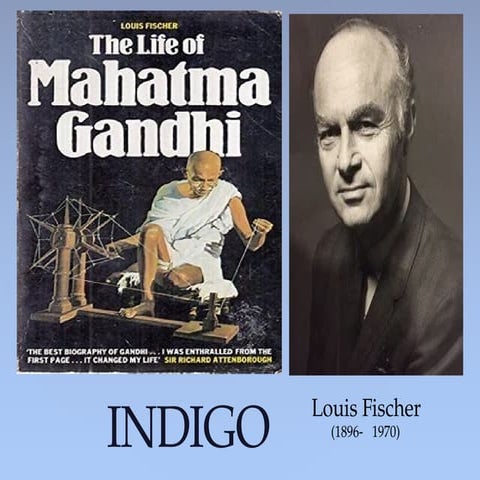 ppt of indigo class 12 english project | PDF