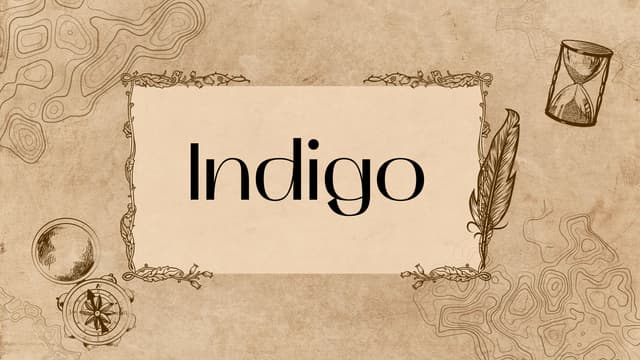 1668526681006_indigo project file eng class 12.pptx