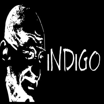 INDIGO key terms .pdf