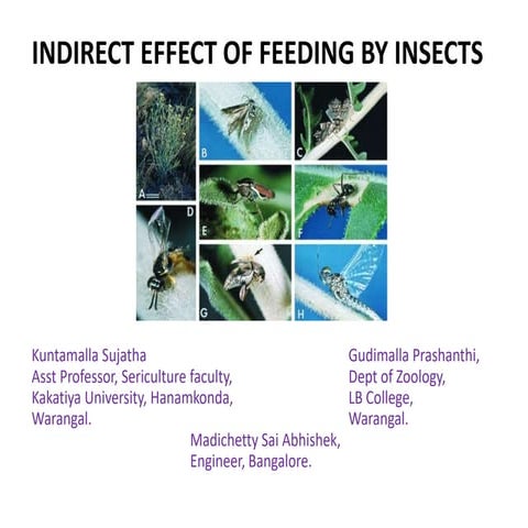Indirect effect of Feeding by Insects.pptx